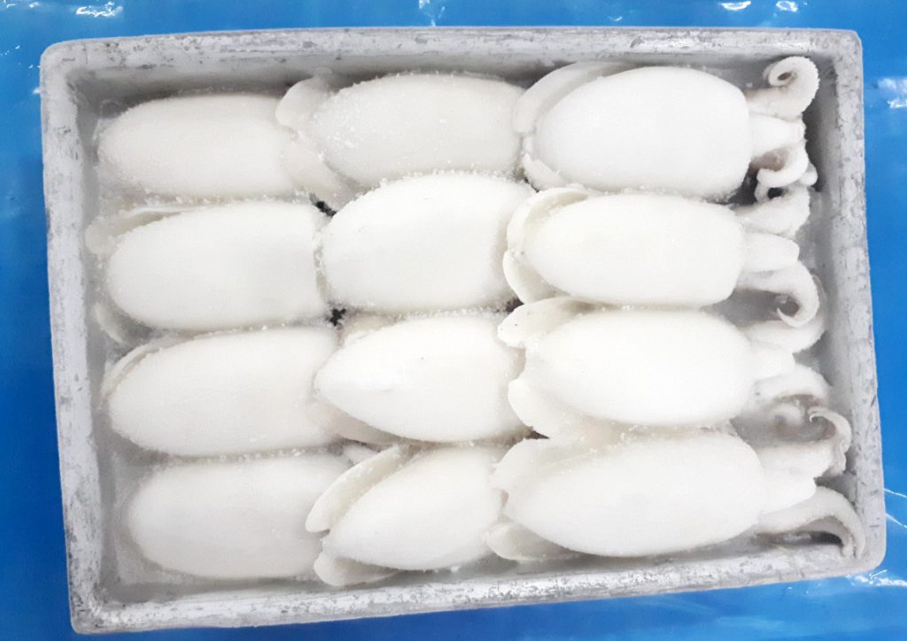 WHOLE CLEANED CUTTLEFISH BLOCK – Nvdseafood