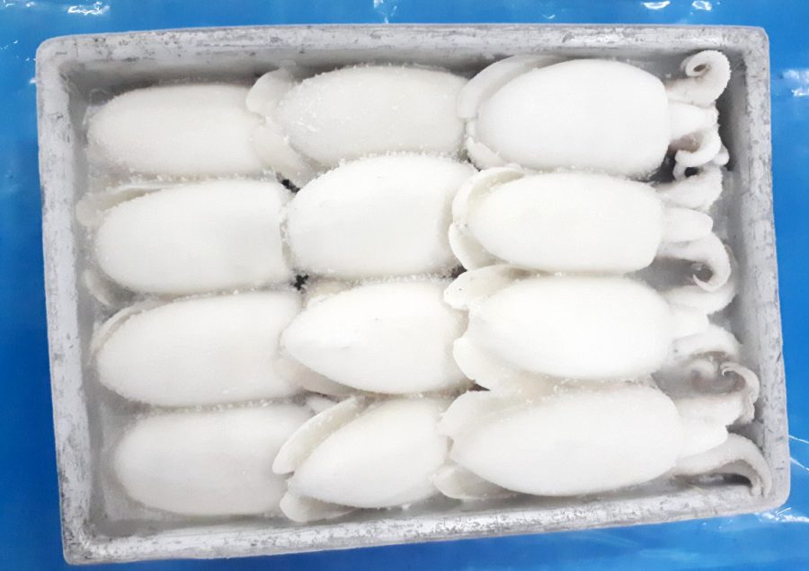 WHOLE CLEANED CUTTLEFISH BLOCK – Nvdseafood