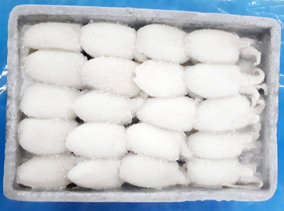 WHOLE CLEANED CUTTLEFISH BLOCK – Nvdseafood