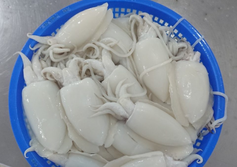 WHOLE CLEANED CUTTLEFISH IQF – Nvdseafood