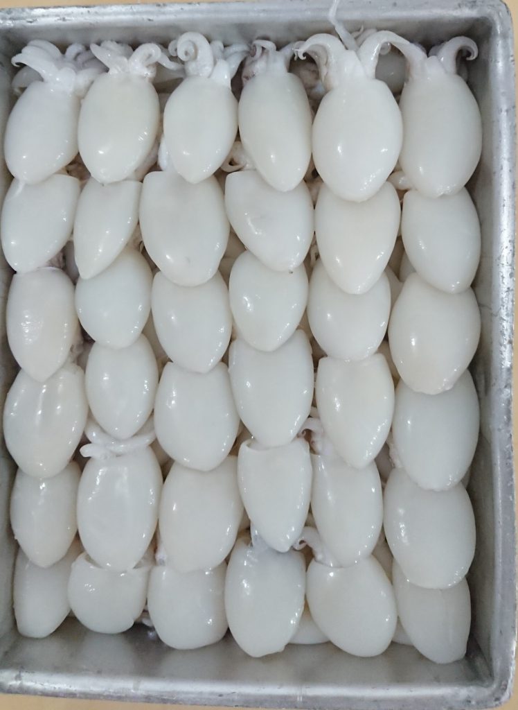 WHOLE CLEANED CUTTLEFISH BLOCK – Nvdseafood