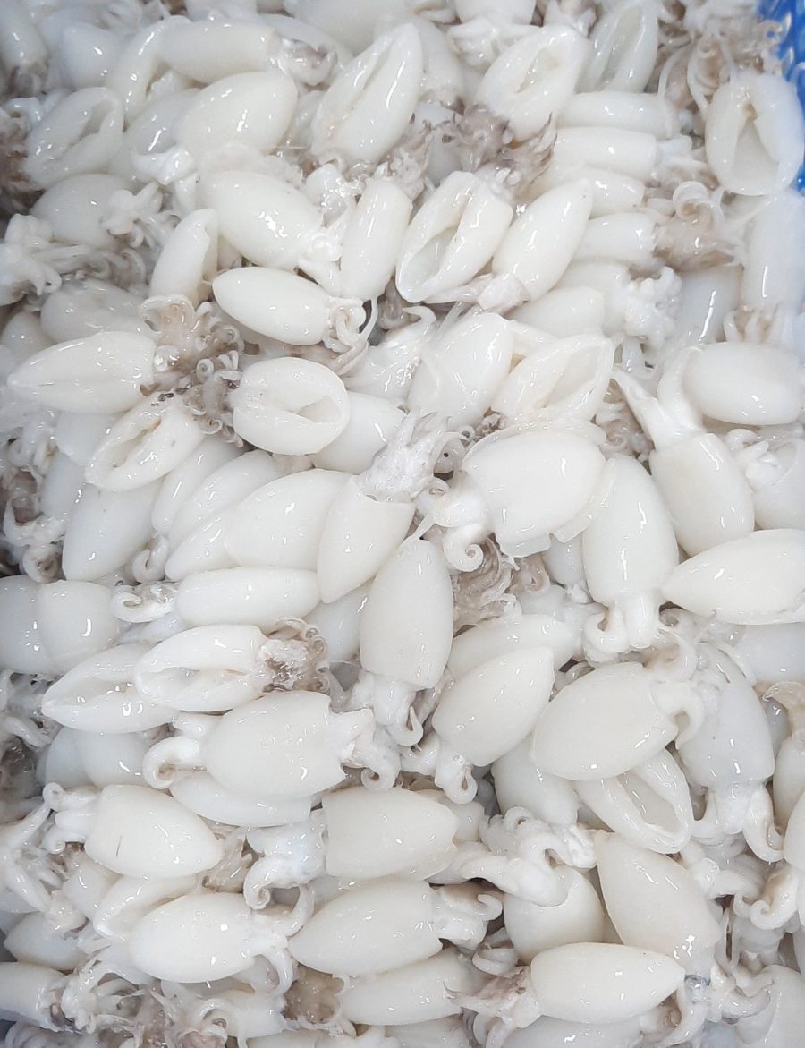 WHOLE CLEANED CUTTLEFISH IQF – Nvdseafood