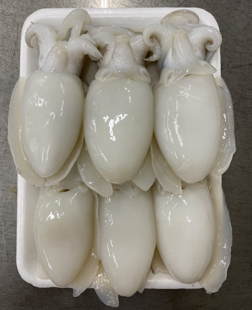 WHOLE CLEANED CUTTLEFISH BLOCK – Nvdseafood